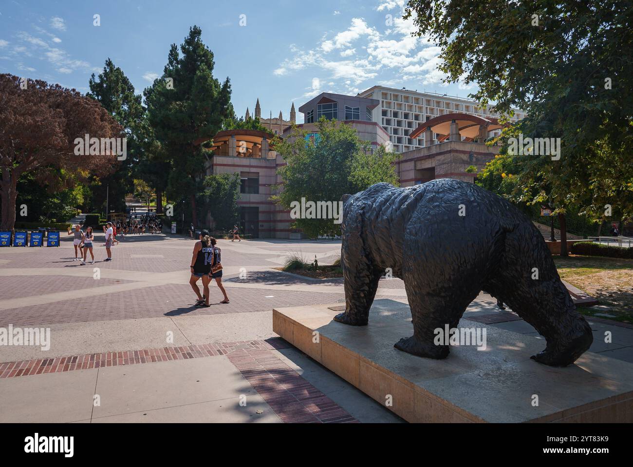 Bruin Bear Statue at UCLA Campus with Students and University Buildings ...