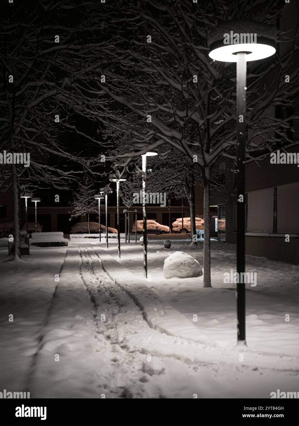 Switzerland, Zurich, fresh snow in the morning in the city Stock Photo ...