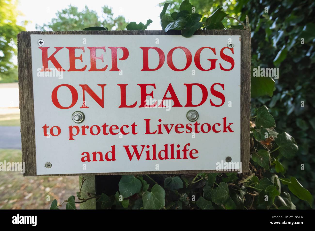 England, Kent, Ashford, Eastwell, Eastwell Park, Keep Dogs on Leads ...