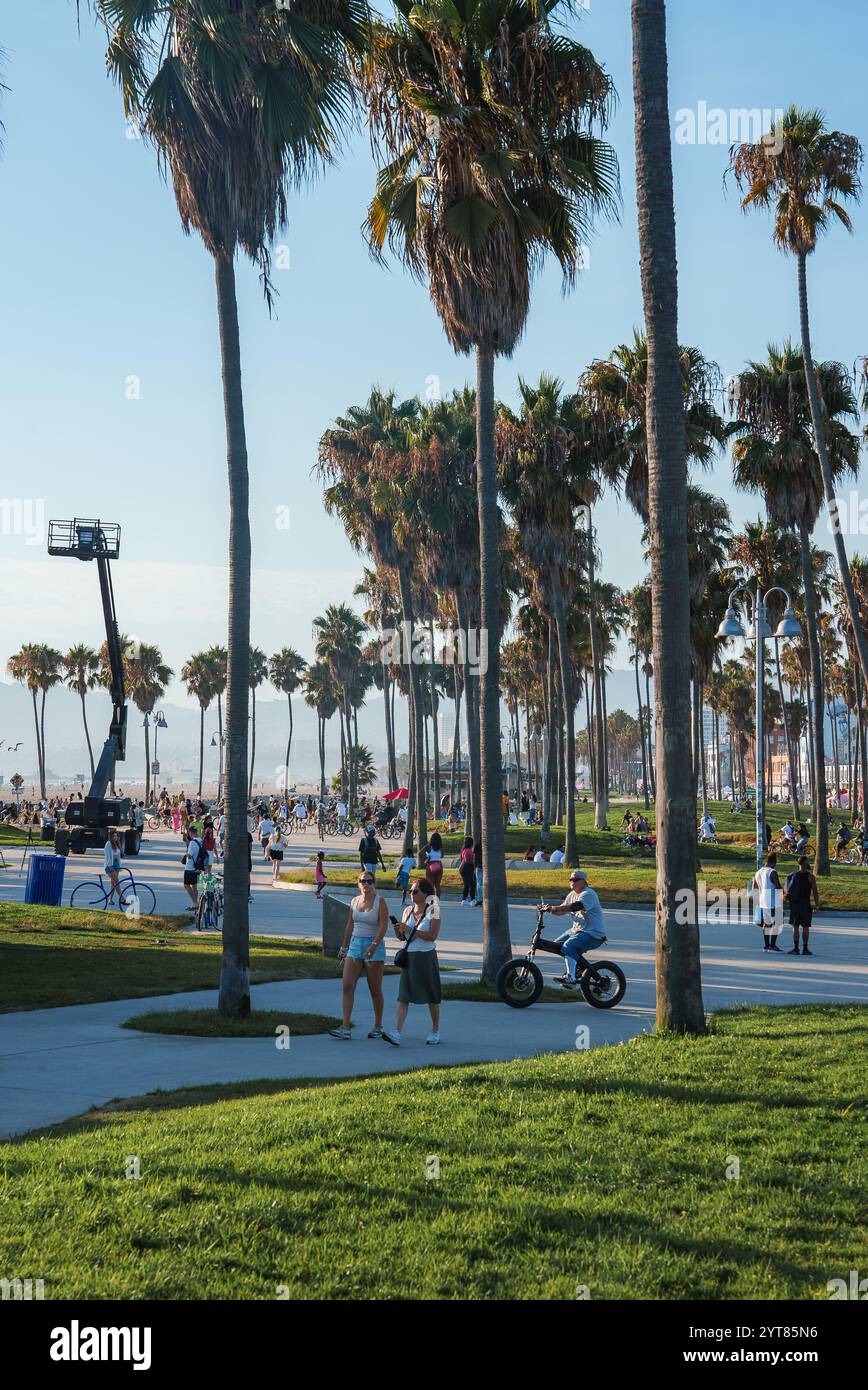 Lively Scene at Venice Beach with Palm Trees and Ocean View Stock Photo ...