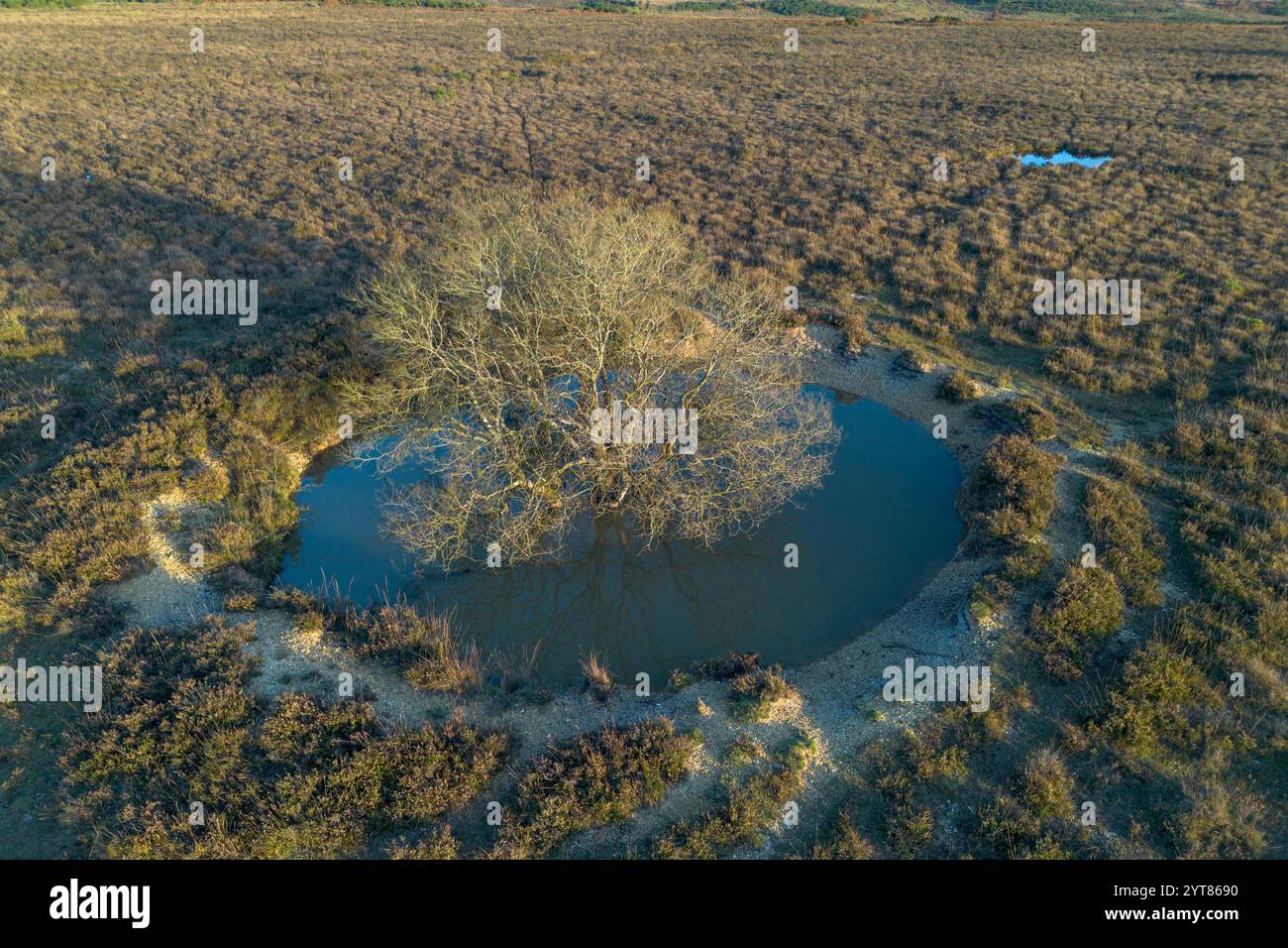 Aerial view of a WWII crater, Ashley Walk Bombing Range, Hampshire, UK ...