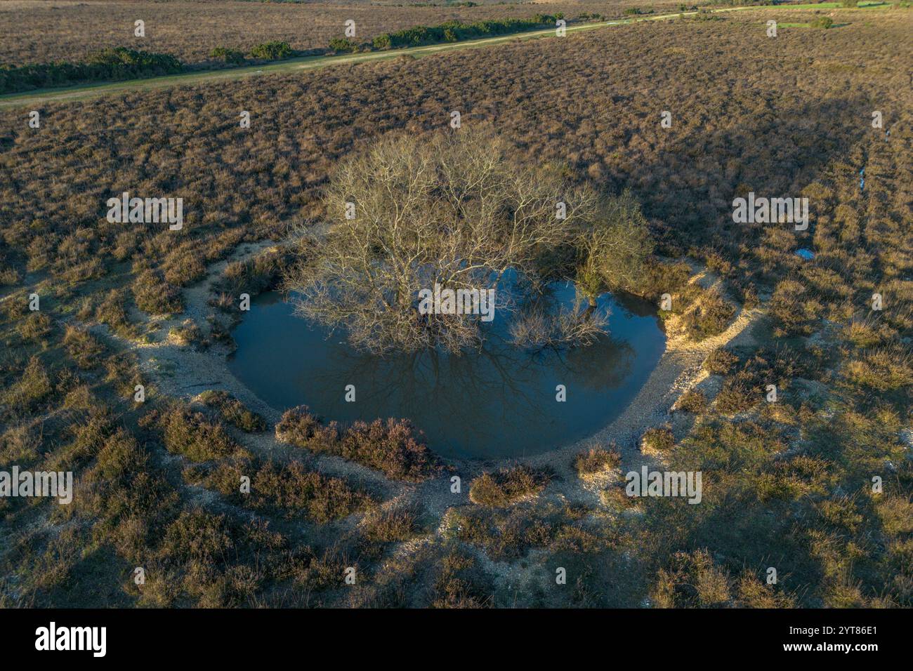 Aerial view of a WWII crater, Ashley Walk Bombing Range, Hampshire, UK ...