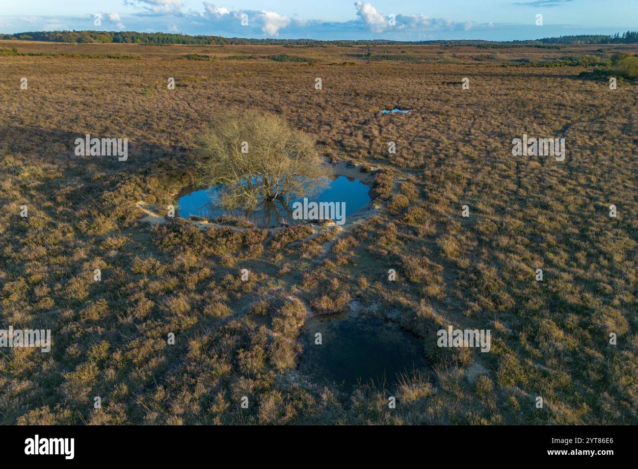 Ashley walk wwii hi-res stock photography and images - Alamy