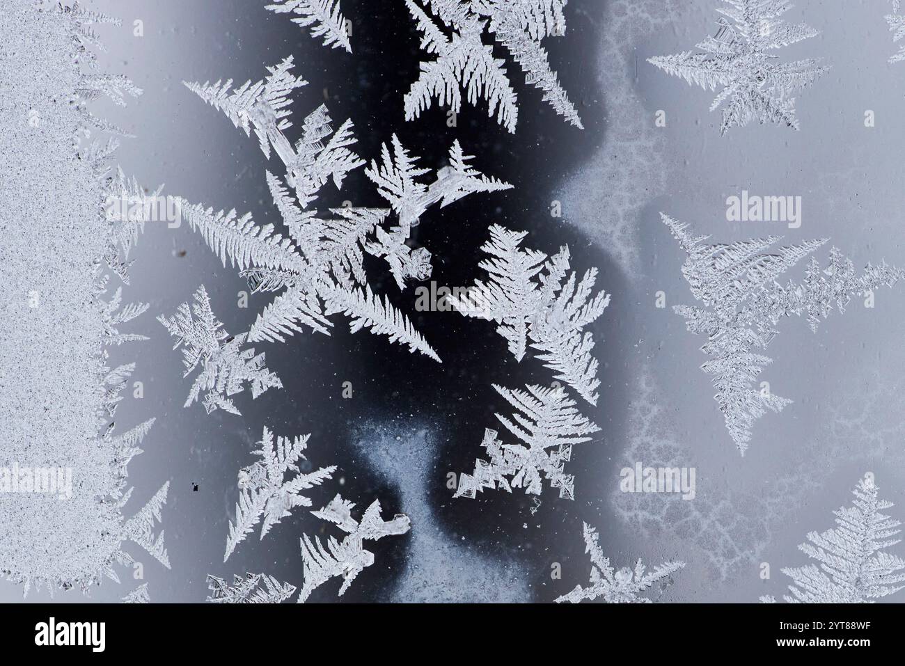 Ice flowers, window Stock Photo - Alamy