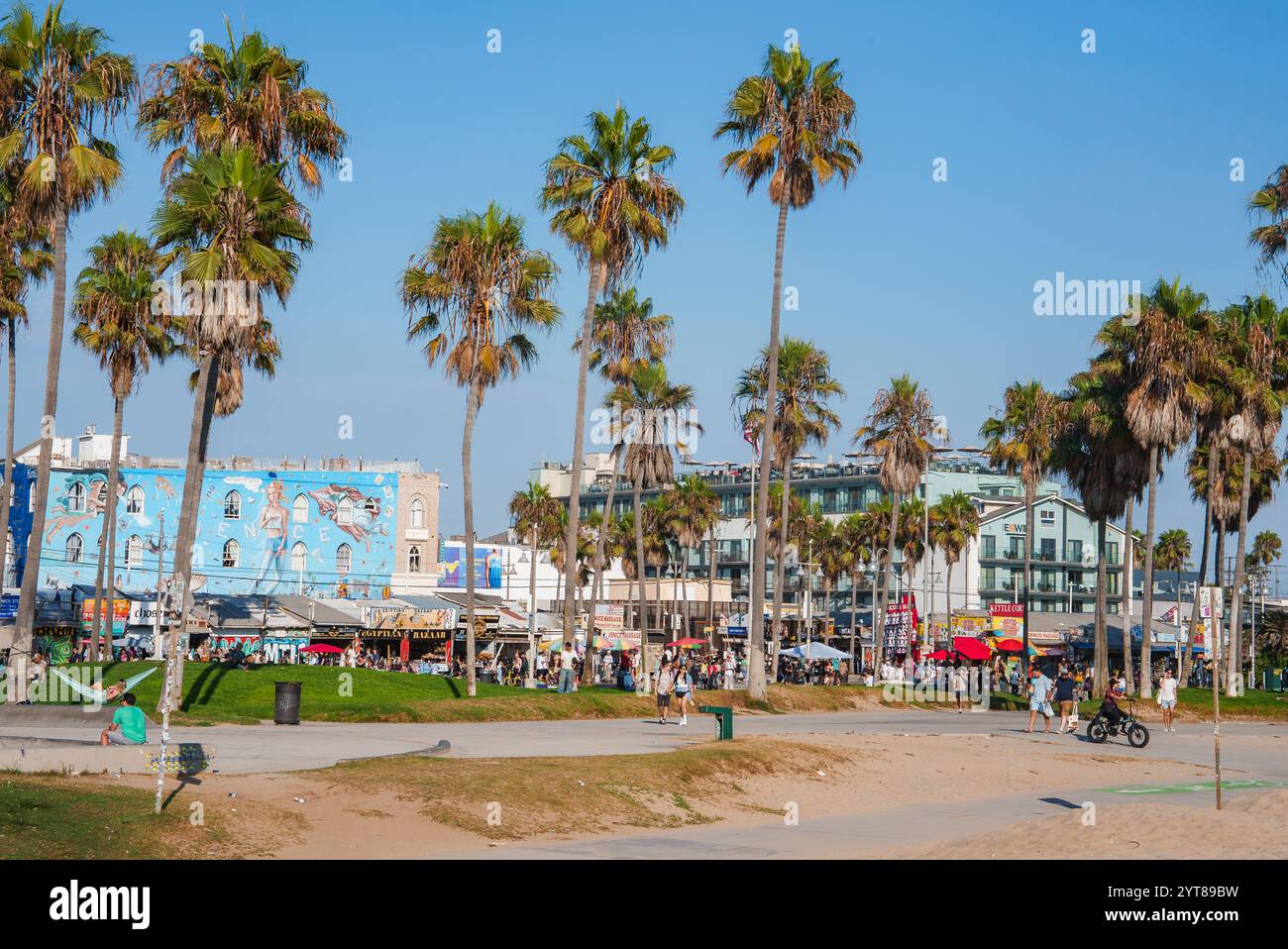 Venice Beach Boardwalk with Palm Trees and Colorful Murals in Los ...