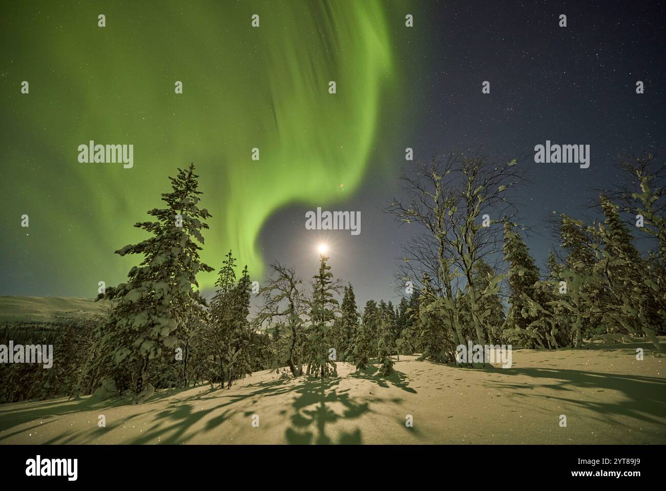 Europe, Finland, Winter, Lapland, Landscape, Northern Lights Stock ...