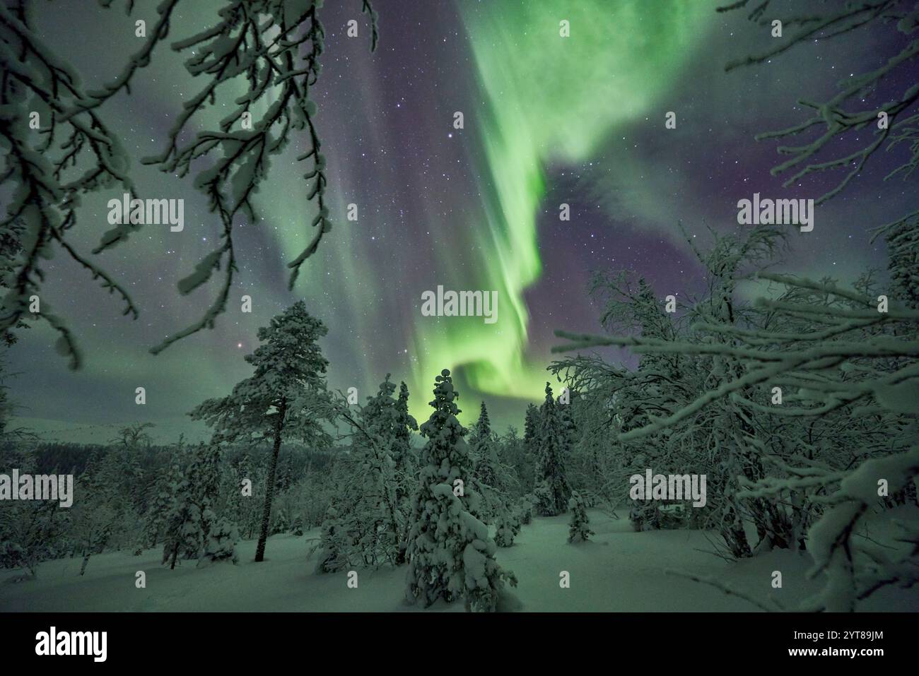 Europe, Finland, Winter, Lapland, Landscape, Northern Lights Stock ...