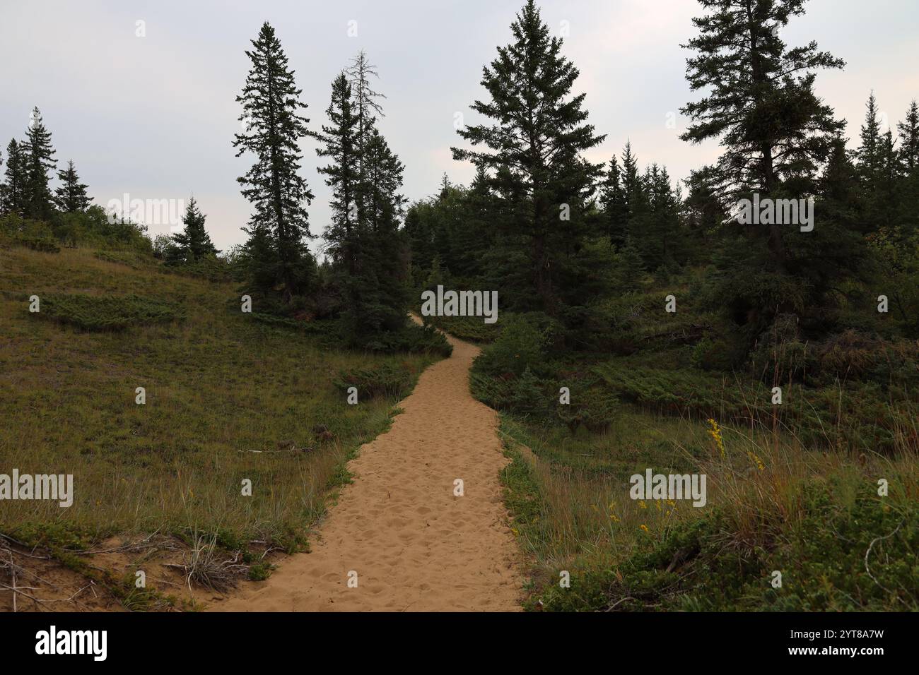 Footpath uphill track trail path hi-res stock photography and images ...