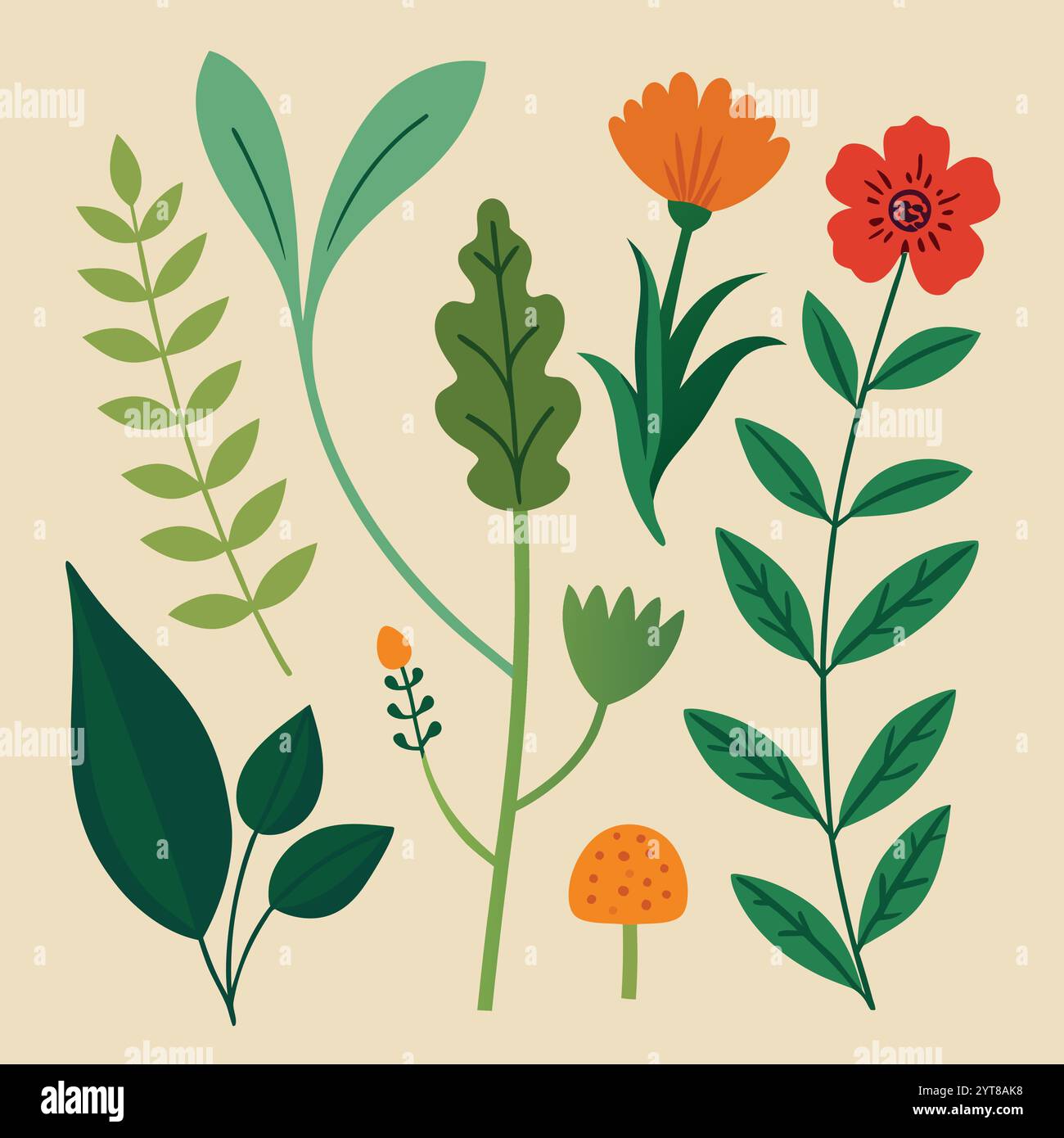 Elegant Botanical Hand Drawn Illustration Vector Art Design for Nature ...