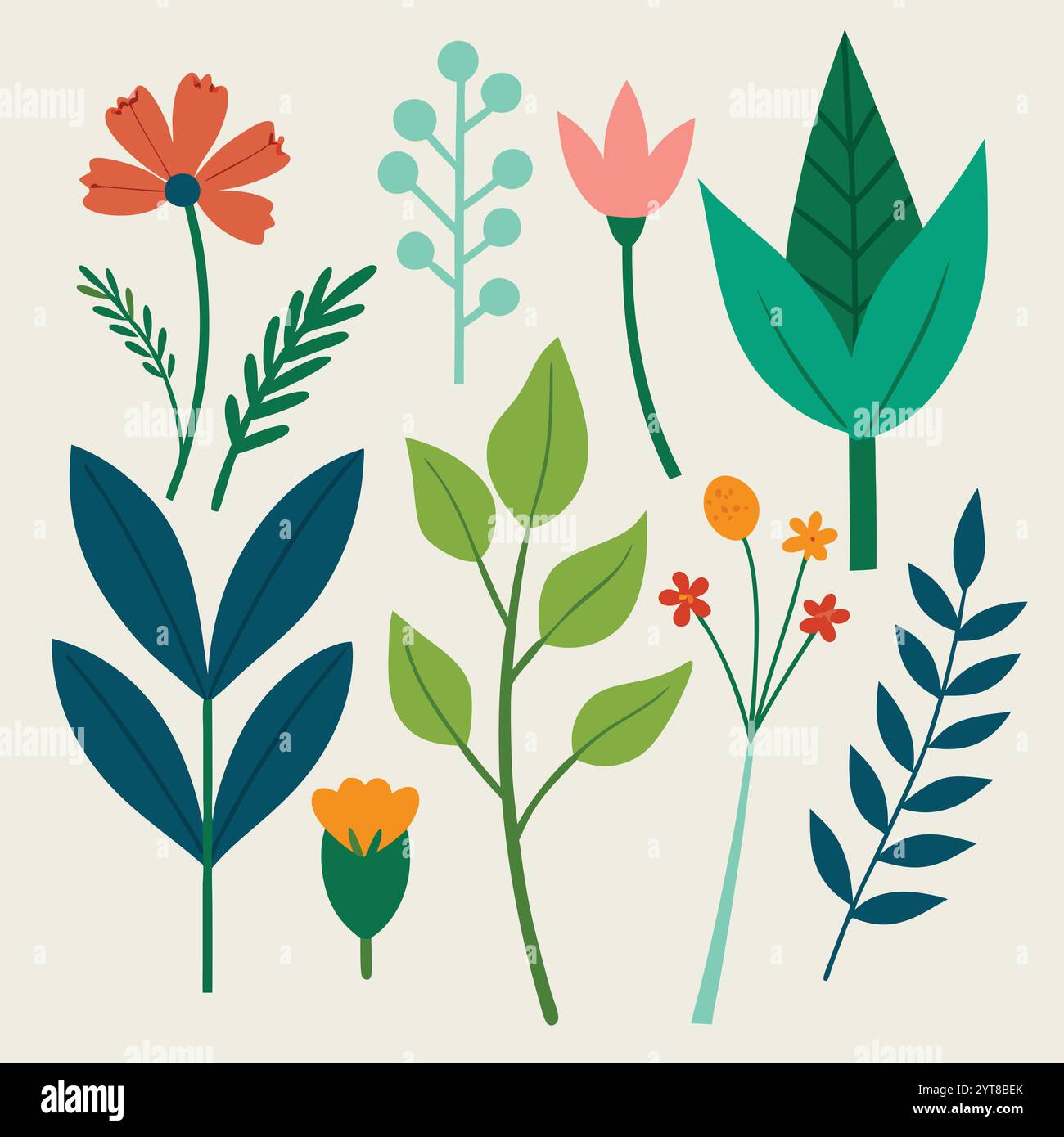 Elegant Botanical Hand Drawn Illustration Vector Art Design for Nature ...