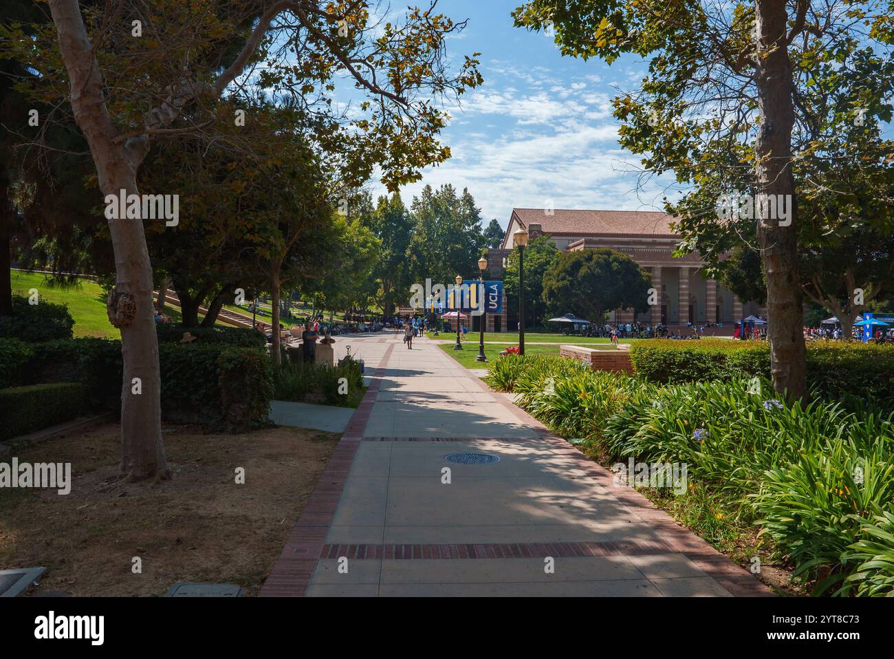 Scenic Walkway on UCLA Campus with Classical Architecture Stock Photo ...
