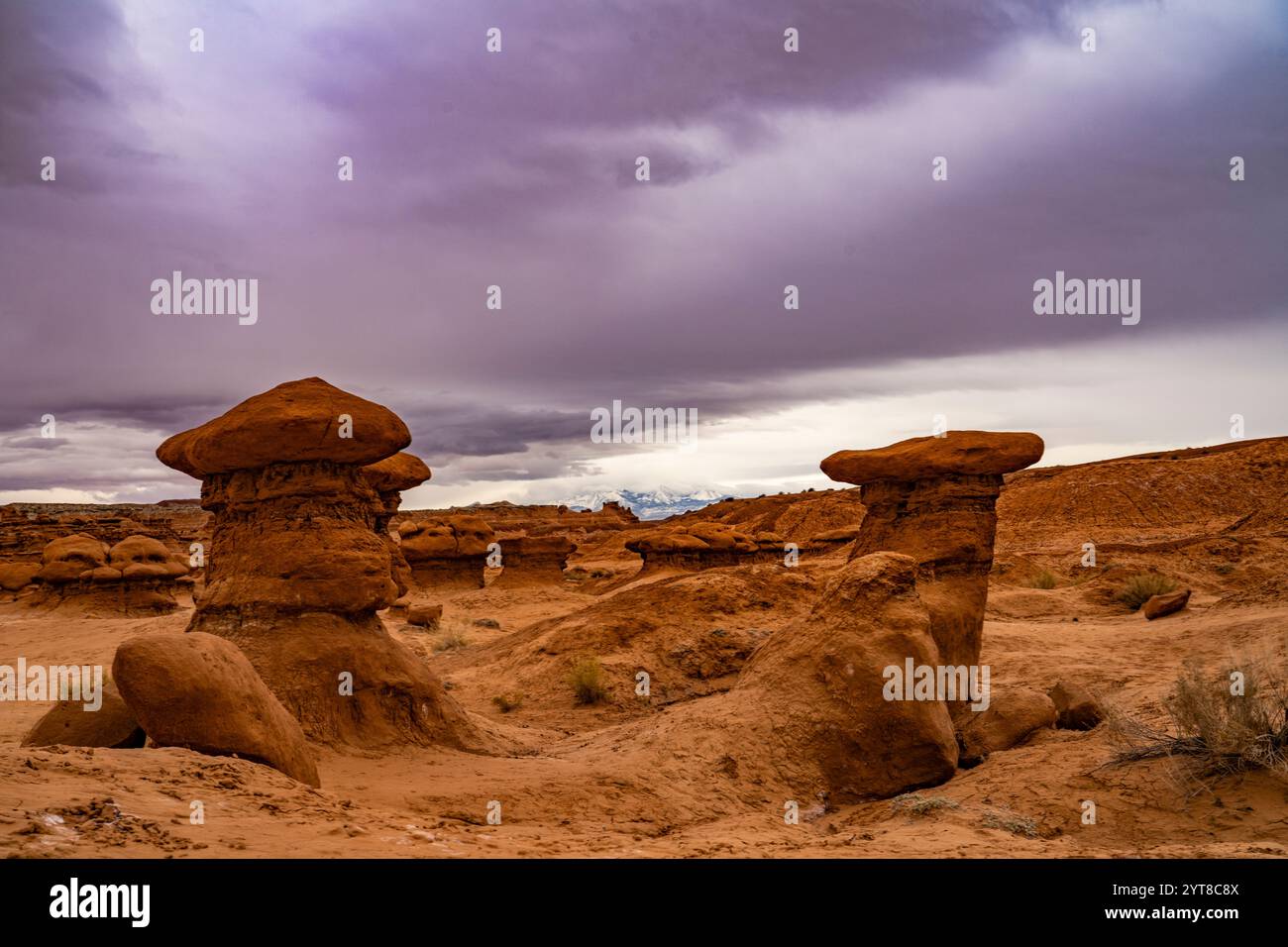 MARCH 2023, GOBLIN STATE PARK, UTAH - elevated view of odd mushroom red ...