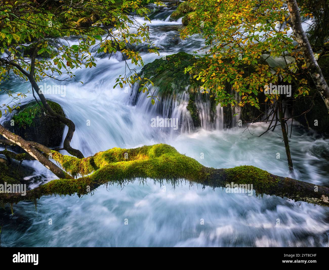 Autumn at the Schwarzbach, also known as the Gollinger waterfall Stock ...