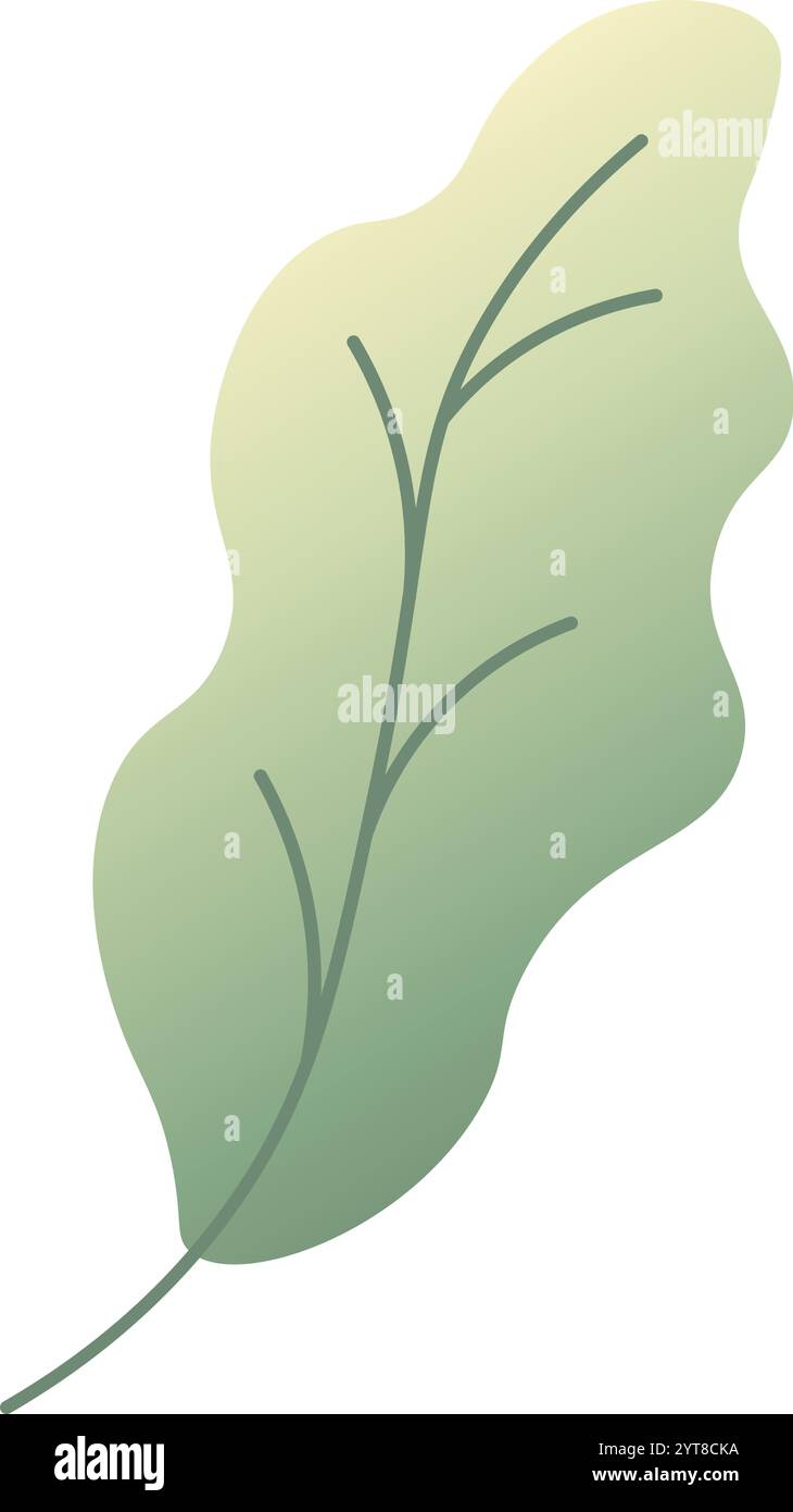 Green gradient leaf with clearly visible veins and organic shape ...