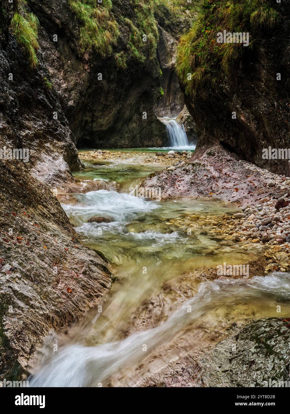In the Almbachklamm gorge near Marktschellenberg Stock Photo - Alamy