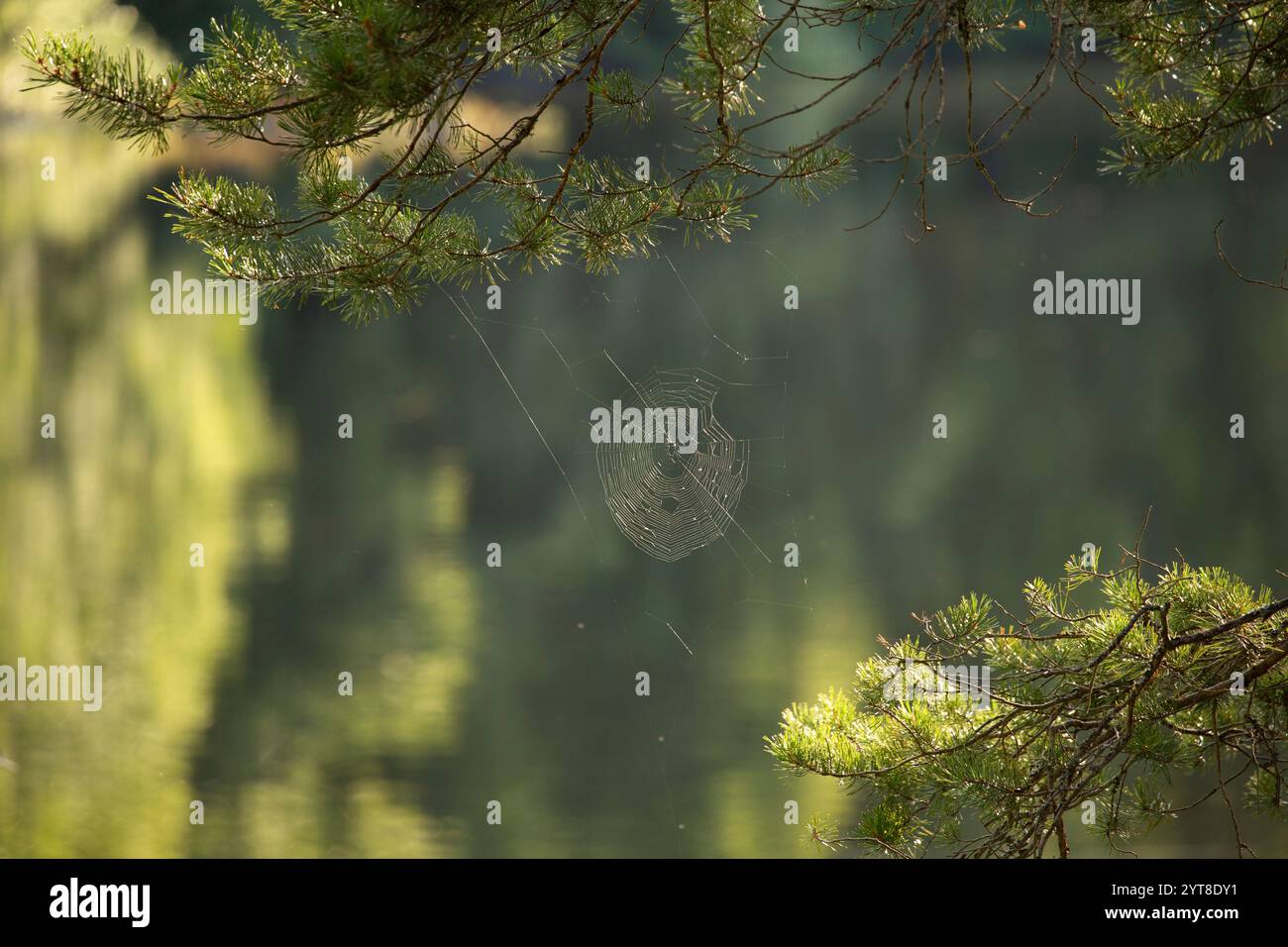 Web environment hi-res stock photography and images - Alamy