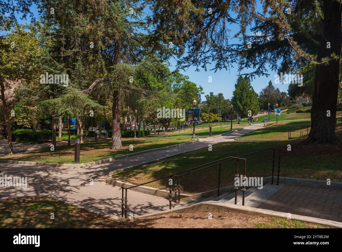 The image shows a serene UCLA campus with pathways, mature trees, and ...