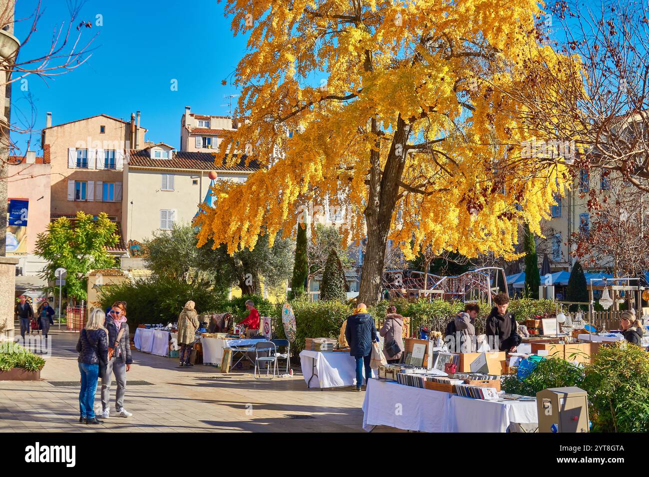 Bric-a-brac market stalls and a golden Ginkgo tree in the winter ...