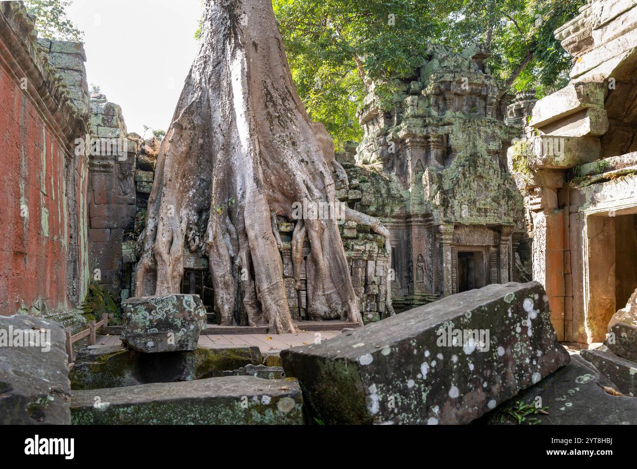 Ruins of the Ta Prohm temple complex, near Angkor Wat complex, Siem ...