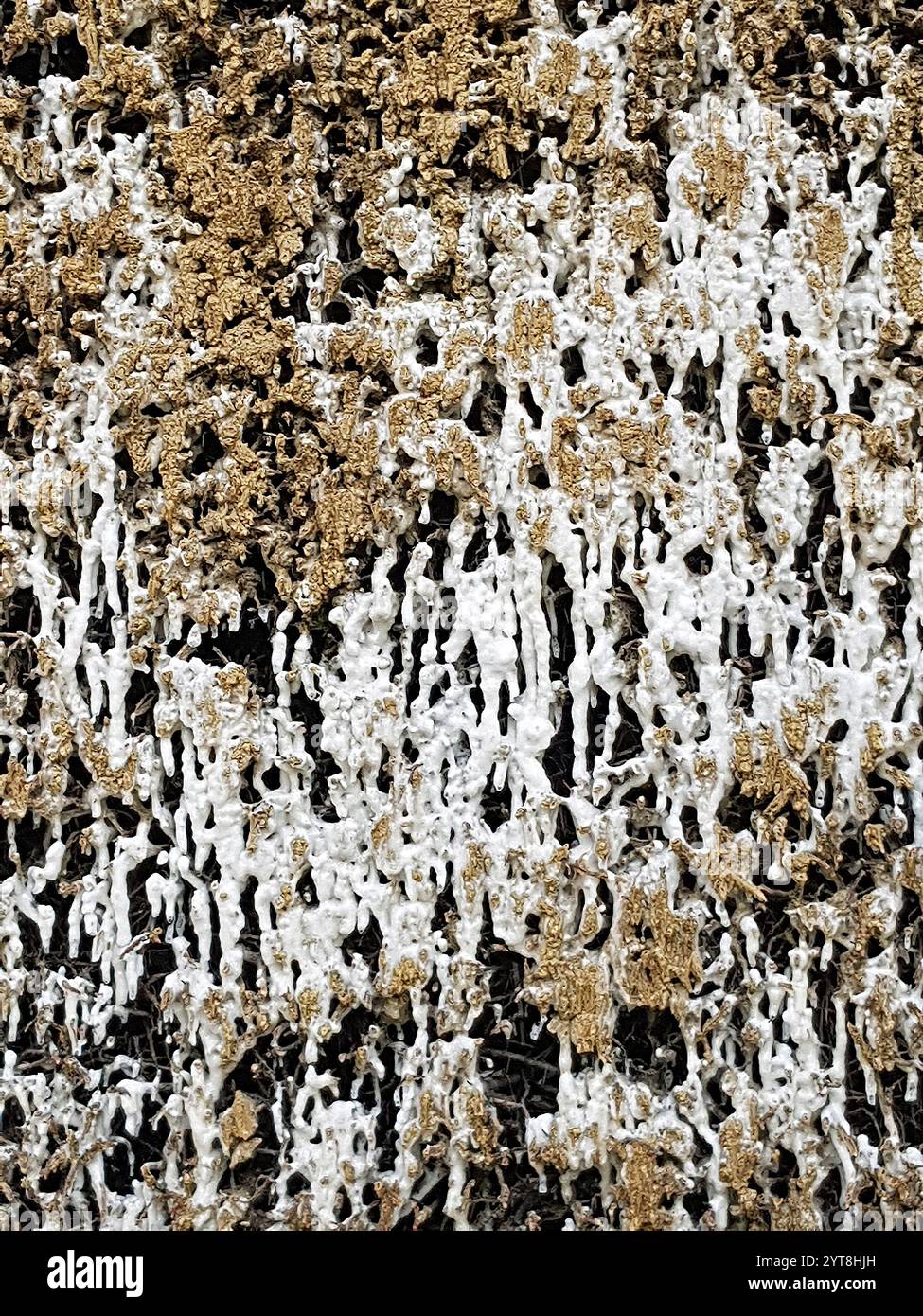 Salt crust on the brushwood bundles of a graduation tower. The salt ...