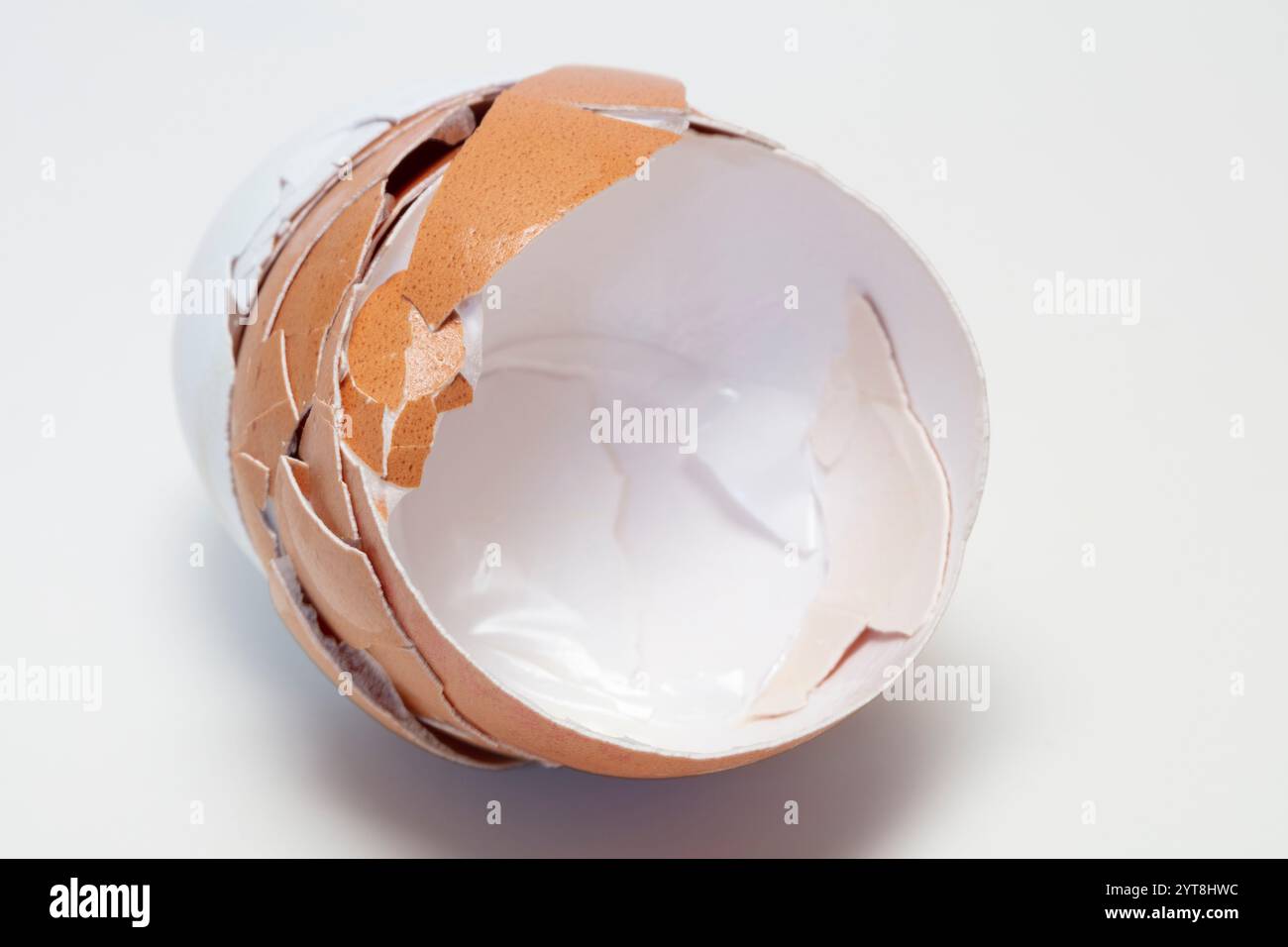 Eggshells on a white background Stock Photo - Alamy