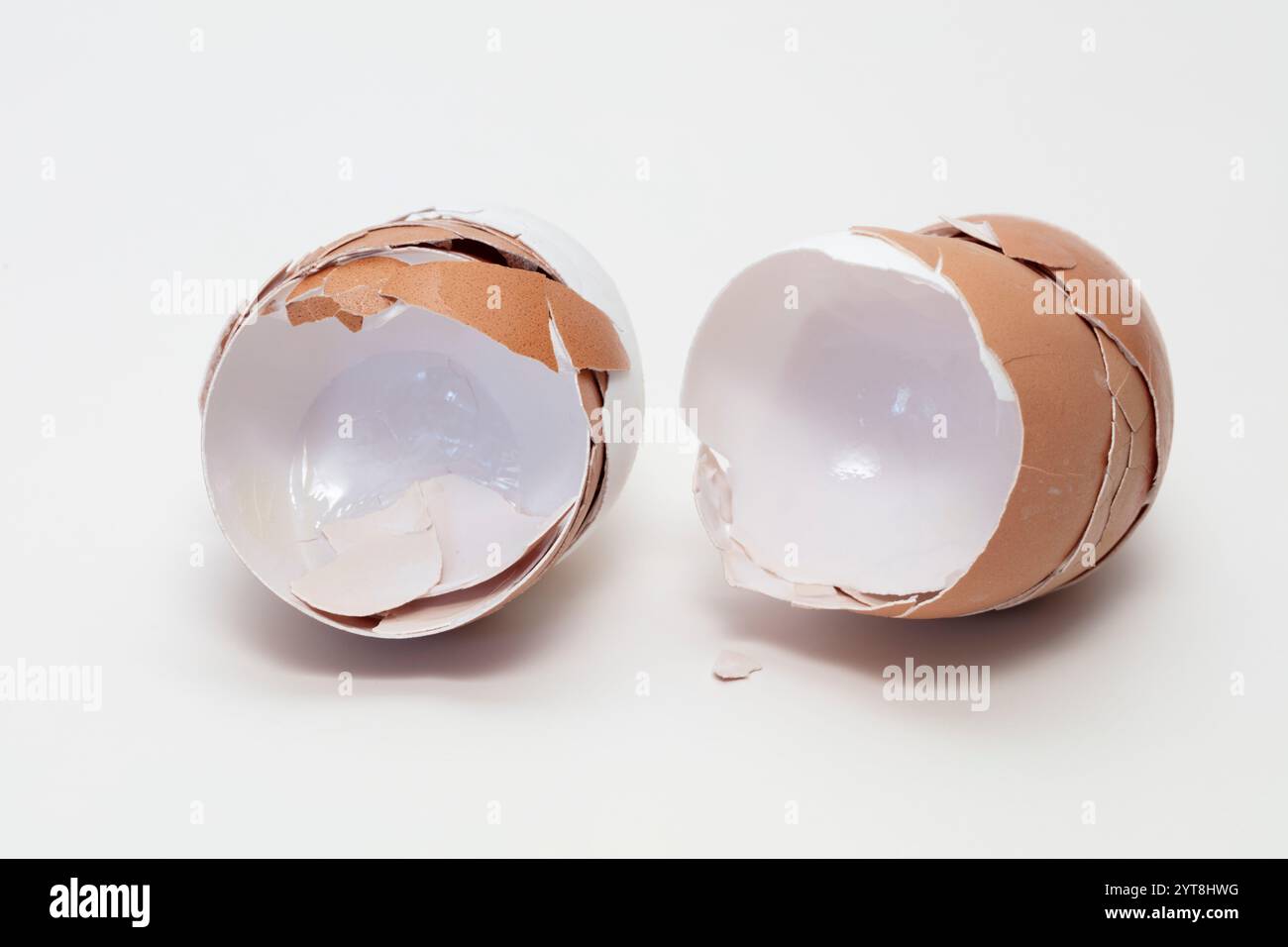 Eggshells on a white background Stock Photo - Alamy