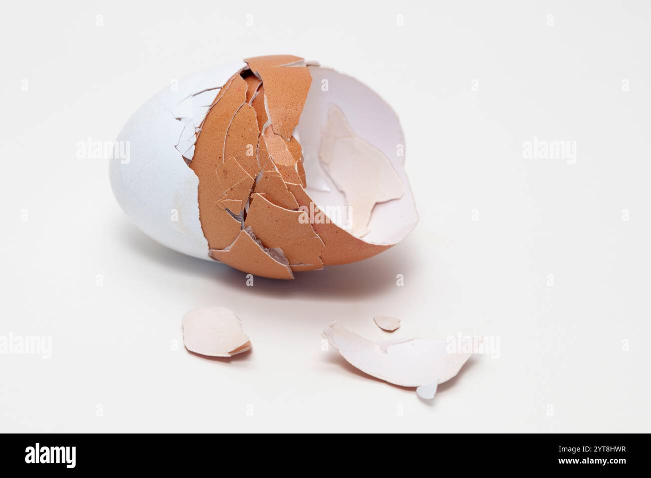 Eggshells on a white background Stock Photo - Alamy