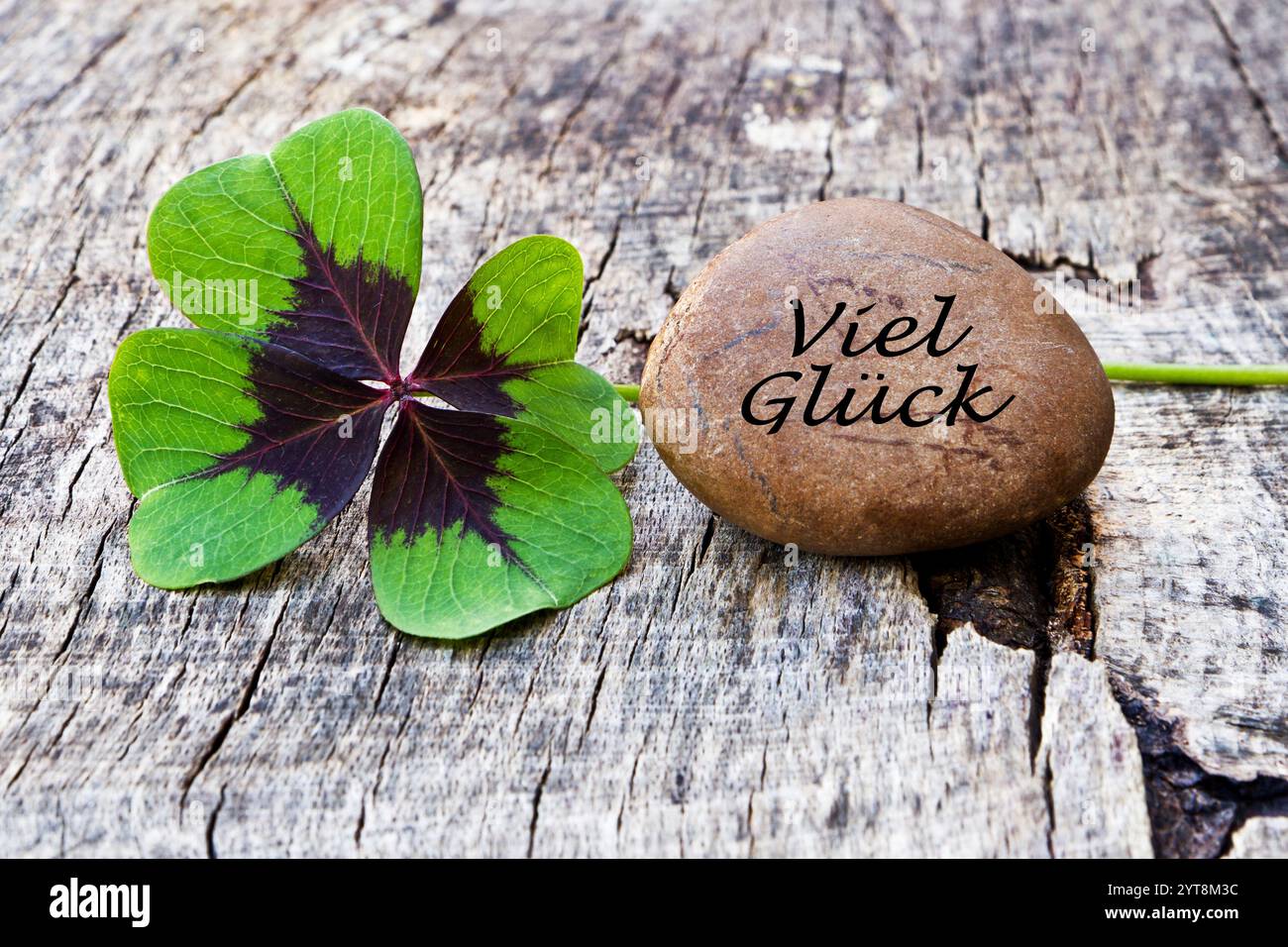 Four-leaf clover, sheet metal, cropped, good luck Stock Photo - Alamy