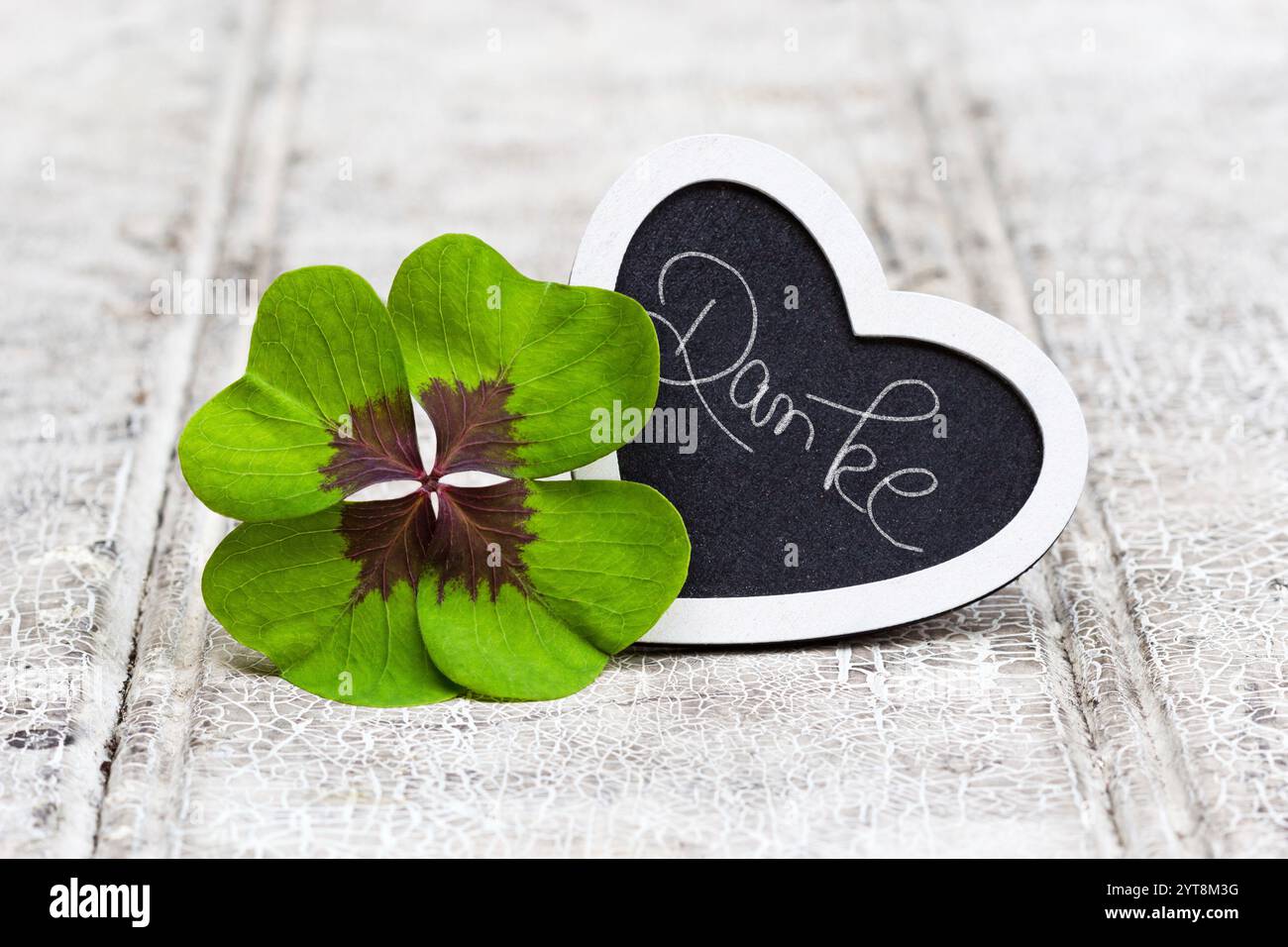 Appreciation plaque hi-res stock photography and images - Alamy