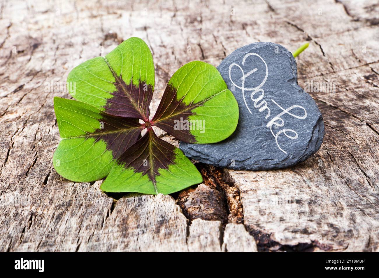 Appreciation plaque hi-res stock photography and images - Alamy