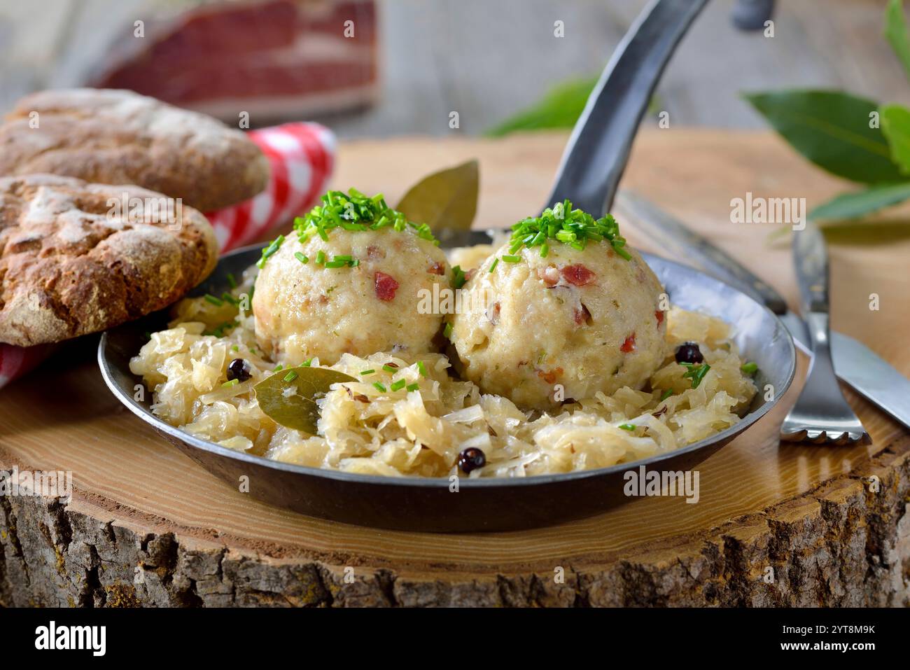 Hearty South Tyrolean bacon dumplings on sauerkraut served rustic in an ...
