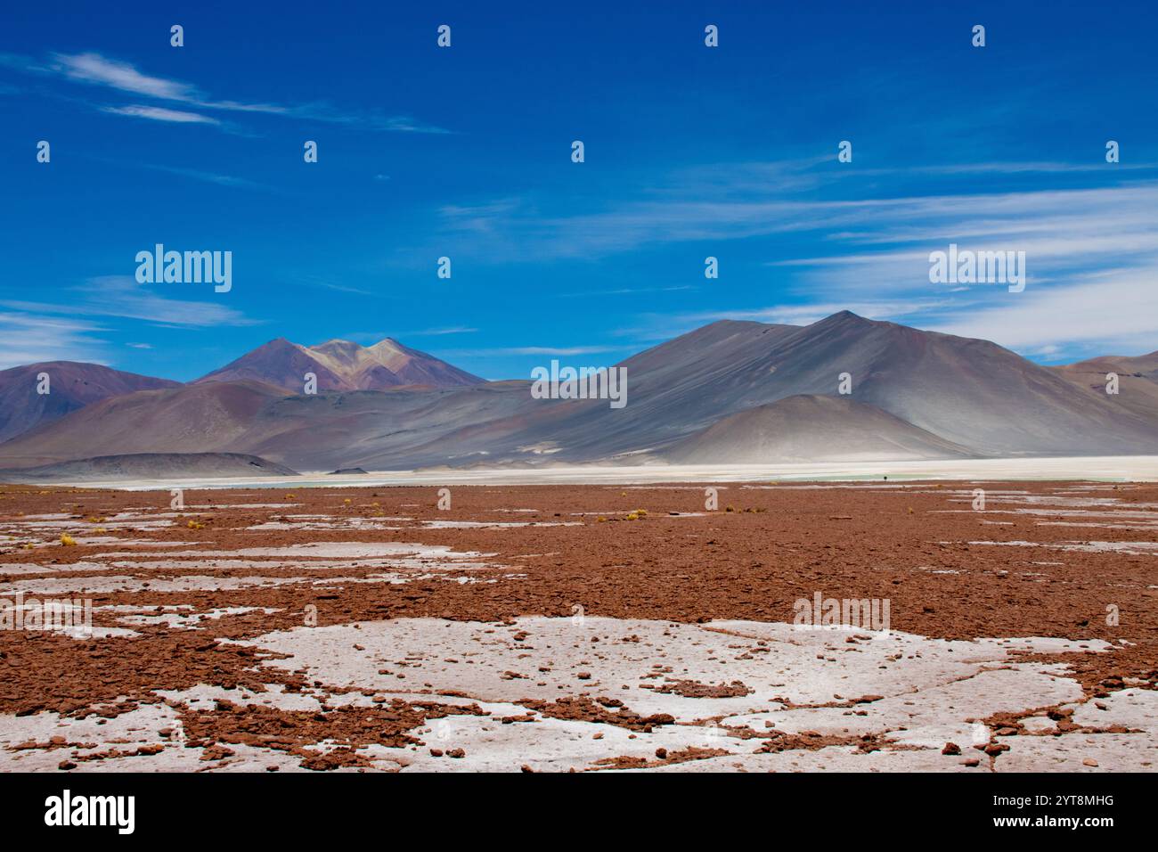 Piedras Rojas, Atacama desert, Chile. Stunning scenery with vibrant ...