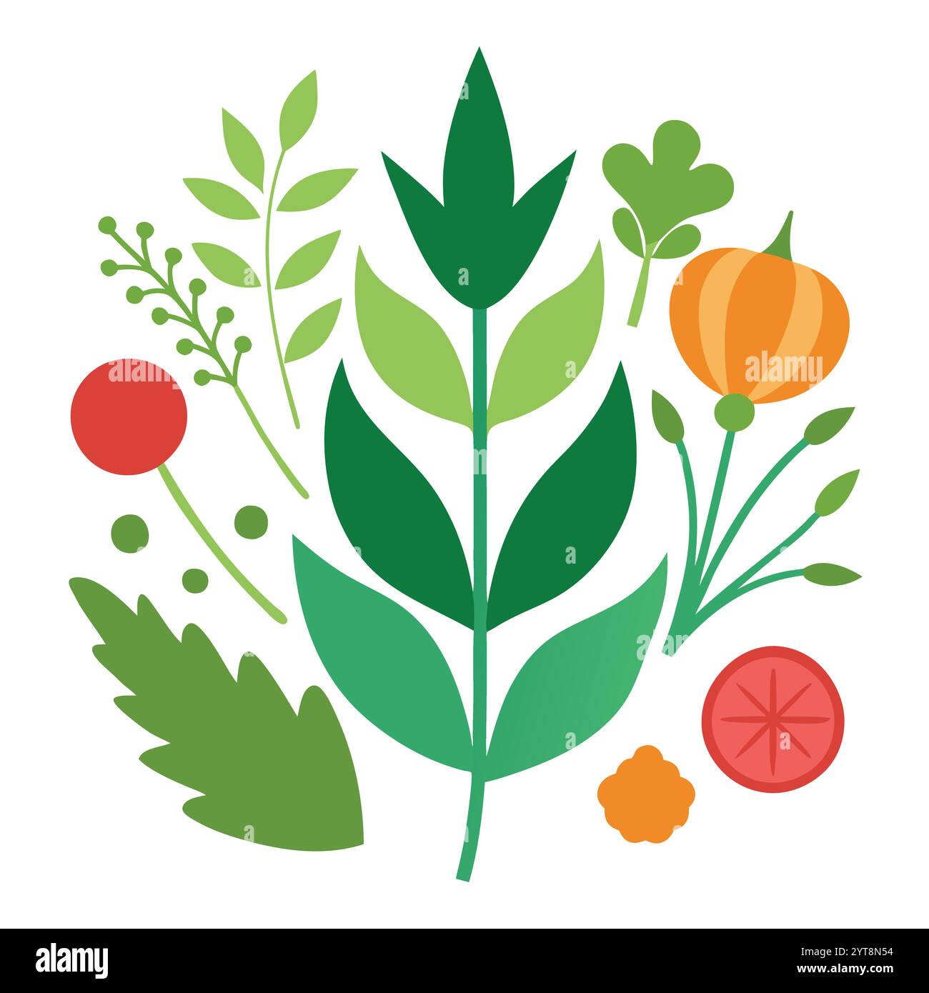 Natural Herbs Vector Collection Botanical Illustration Set for Eco ...
