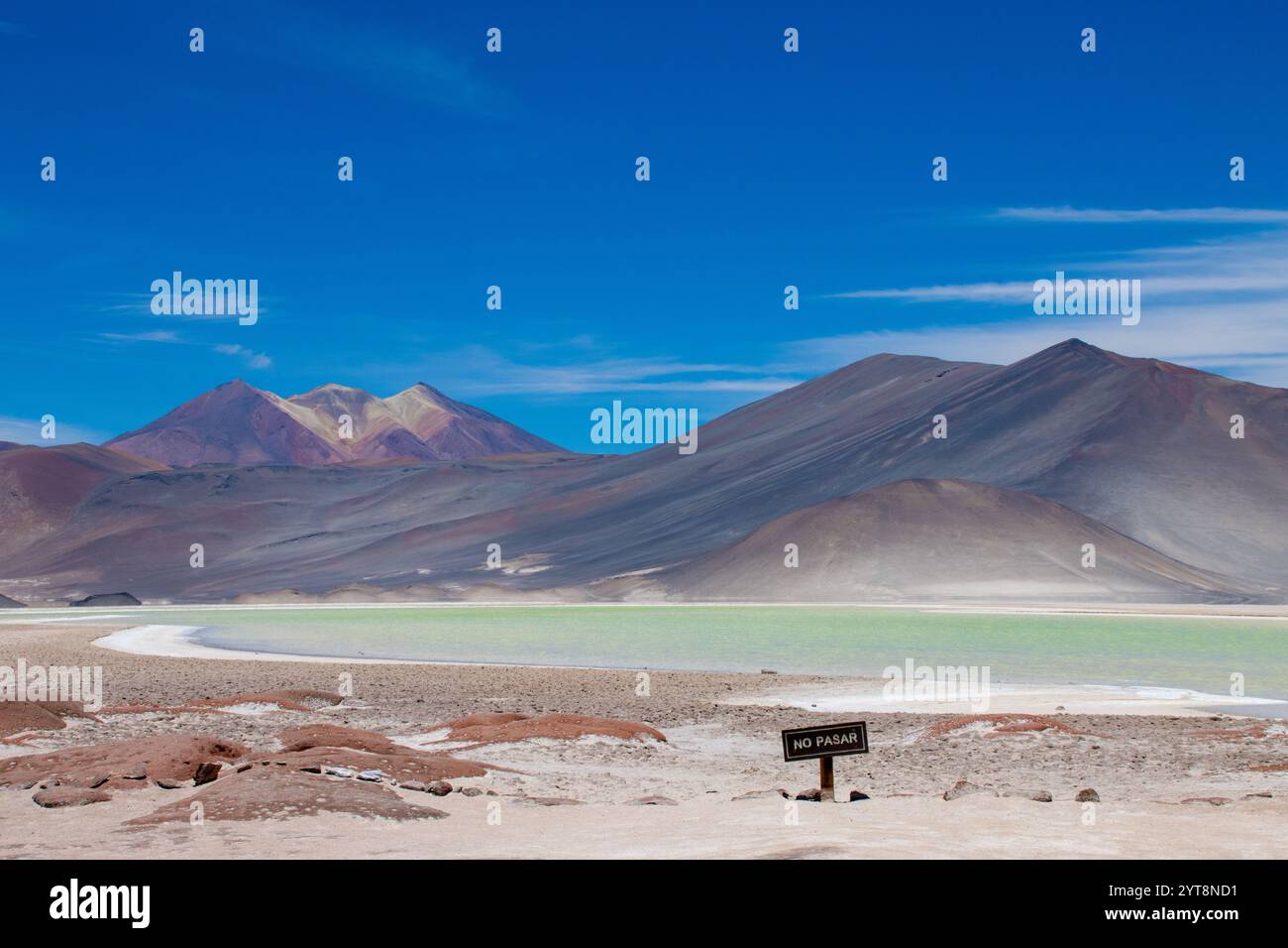 Piedras Rojas salt flats in the Atacama desert, Chile. Stunning scenery ...