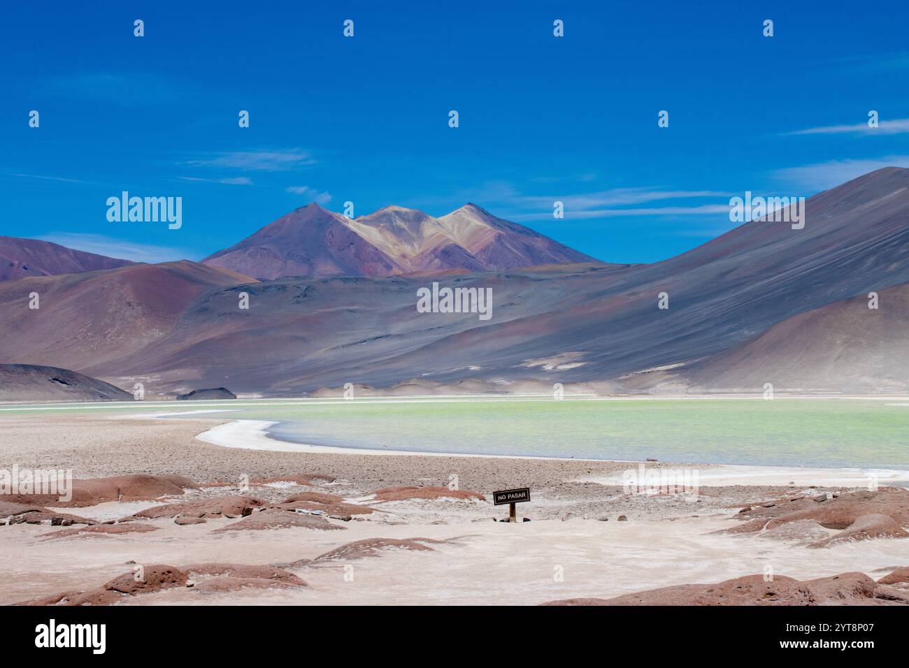 Piedras Rojas salt flats in the Atacama desert, Chile. Stunning scenery ...