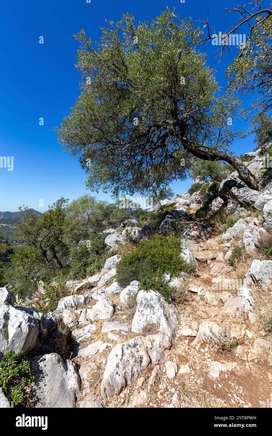 Mediterranean regions of spain hi-res stock photography and images - Alamy