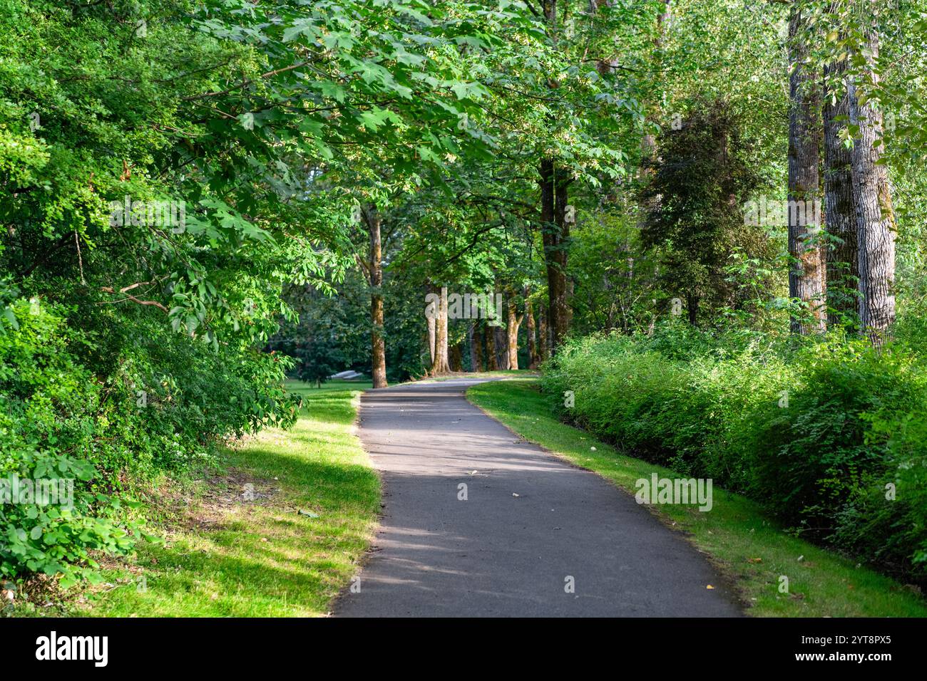 Touristic trail of empty road pathway in forest or park with green lush ...