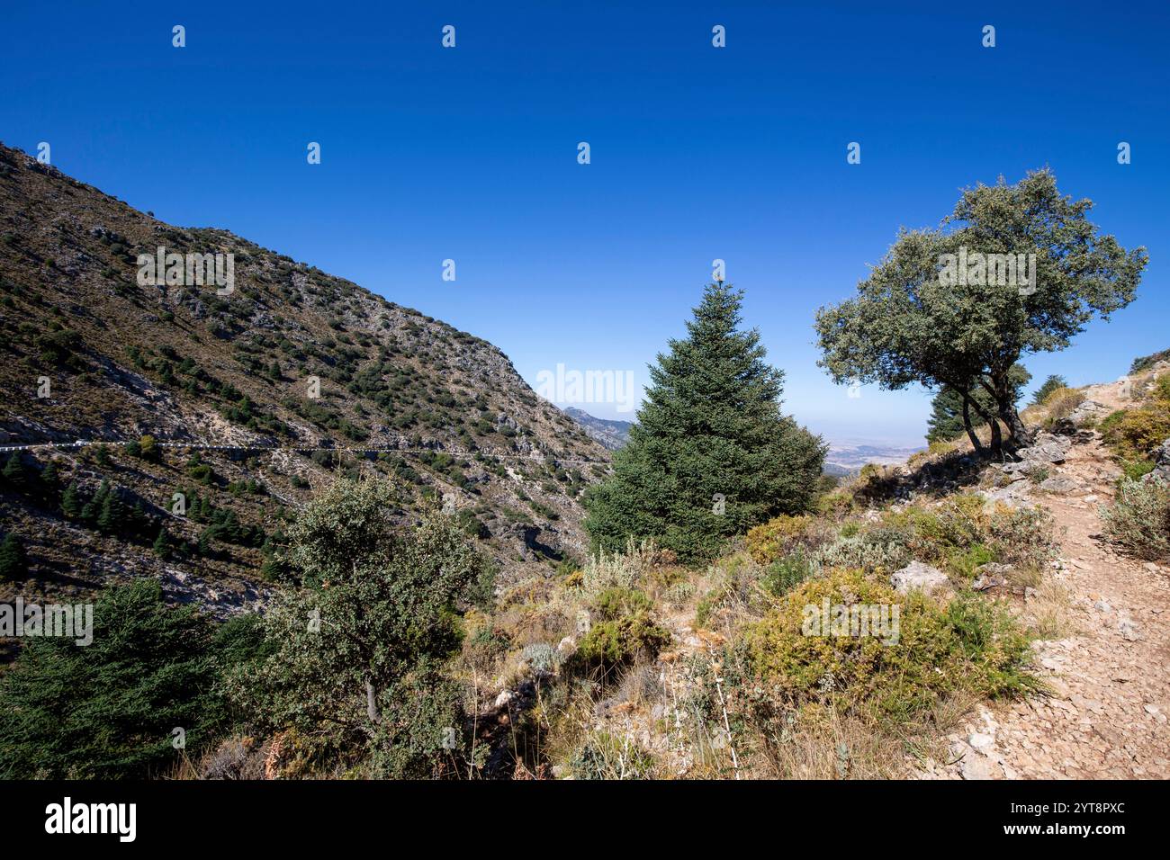 Landscape at Cerro Coros in the Sierra de Grazalema Nature Park in ...