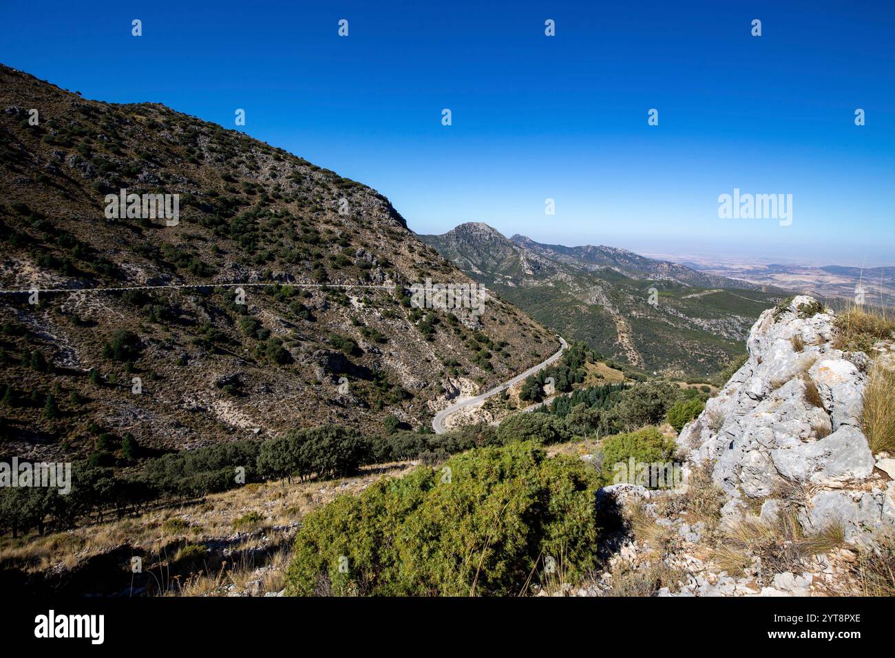 Landscape at Cerro Coros in the Sierra de Grazalema Nature Park in ...