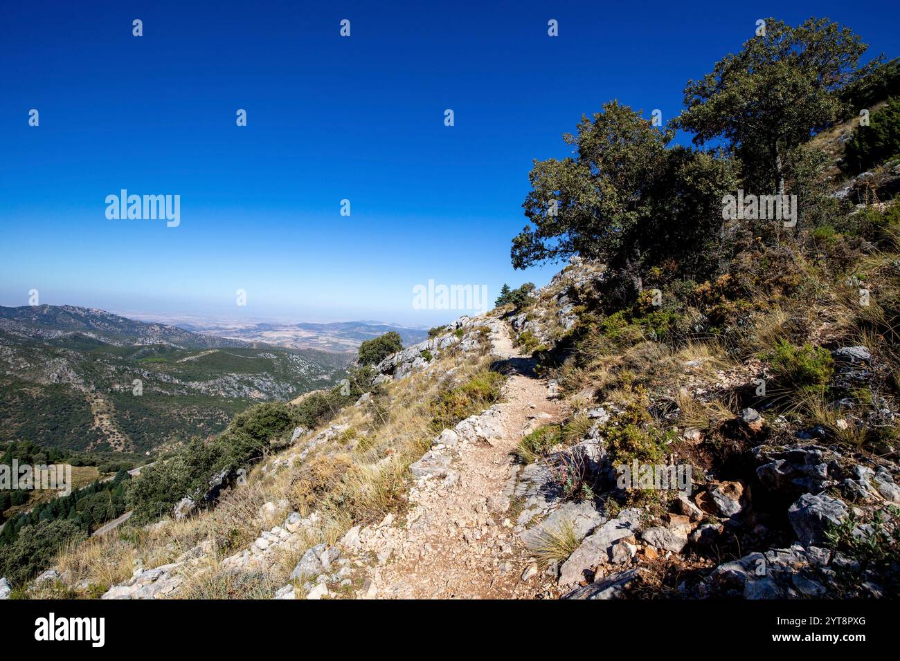Landscape at Cerro Coros in the Sierra de Grazalema Nature Park in ...