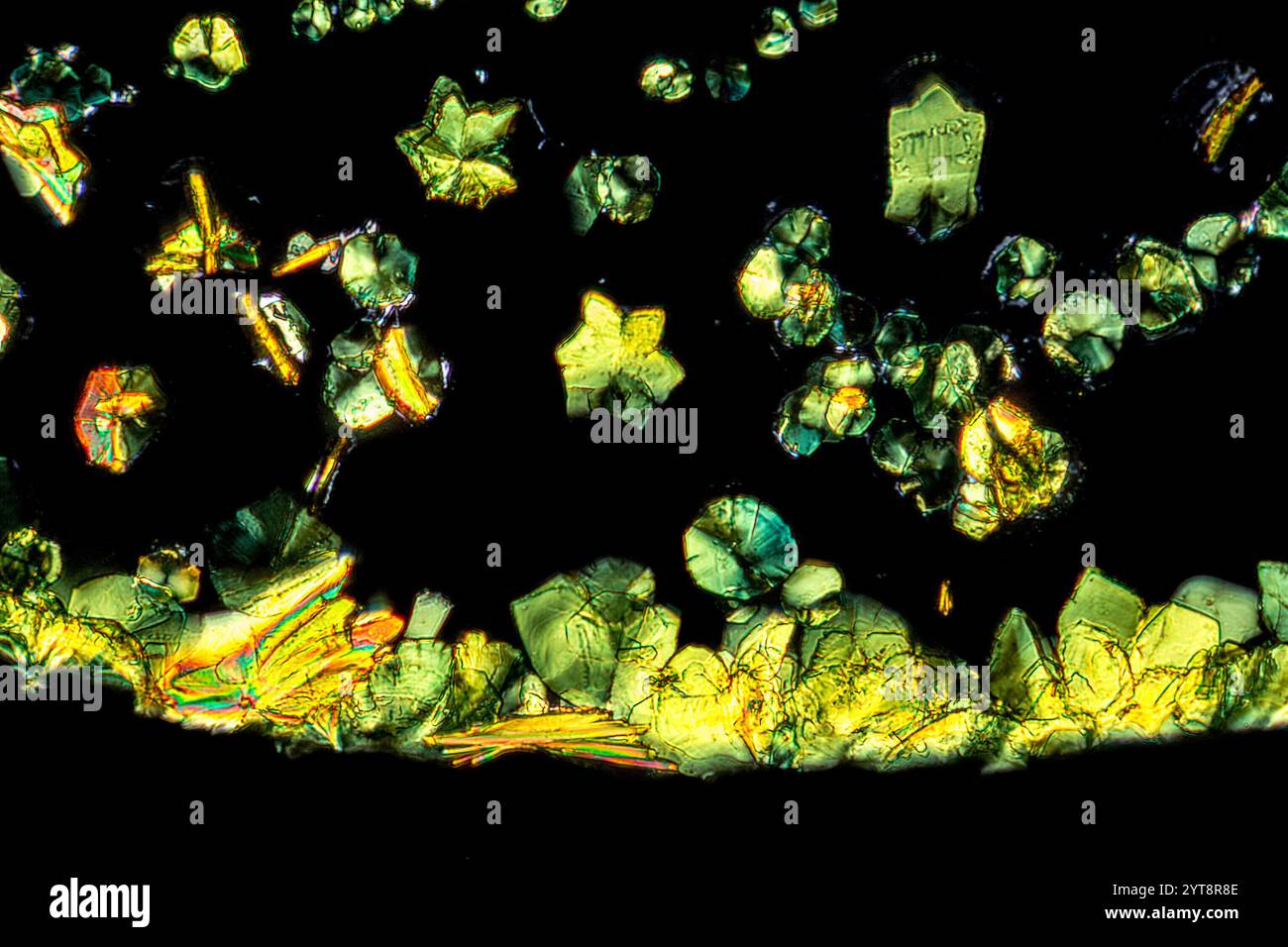 Microscopic detail of Auramine O microcrystals illuminated with ...