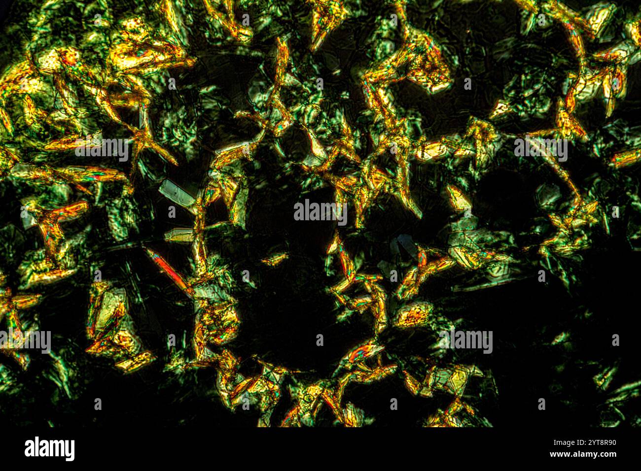 Microscopic detail of Auramine O microcrystals illuminated with ...