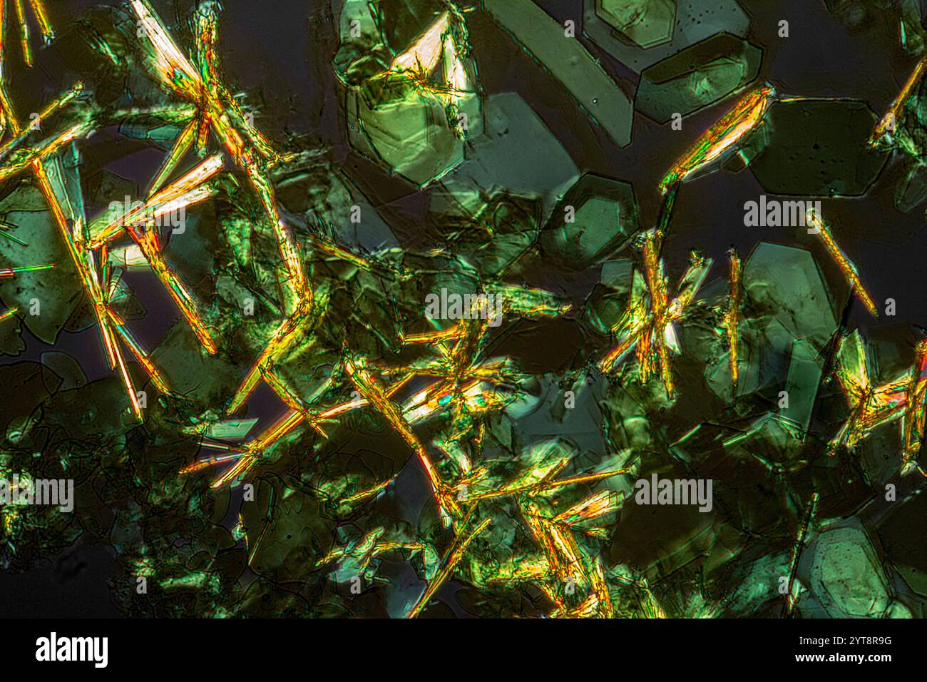 Microscopic detail of Auramine O microcrystals illuminated with ...
