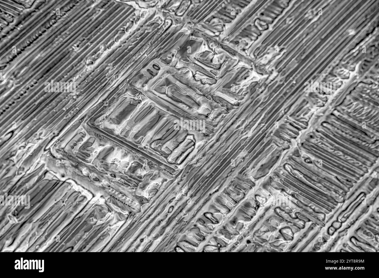 Microscopic shot showing Ammonium sulfate crystals structure Stock ...