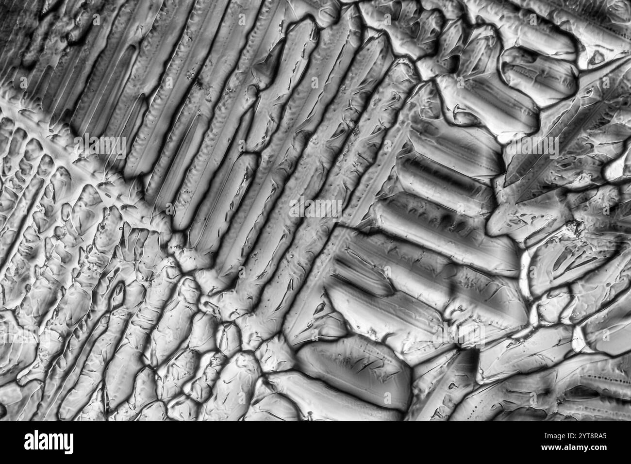 Microscopic shot showing Ammonium sulfate crystals structure Stock ...