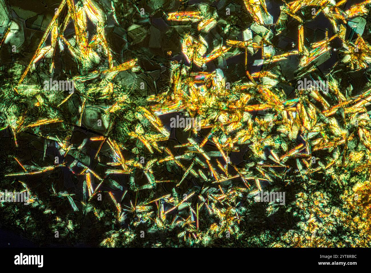 Microscopic detail of Auramine O microcrystals illuminated with ...