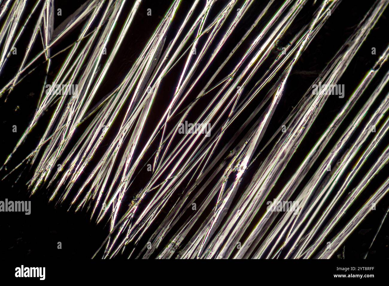 Colorful microscopic shot of sodium dodecyl sulfate microcrystals in ...