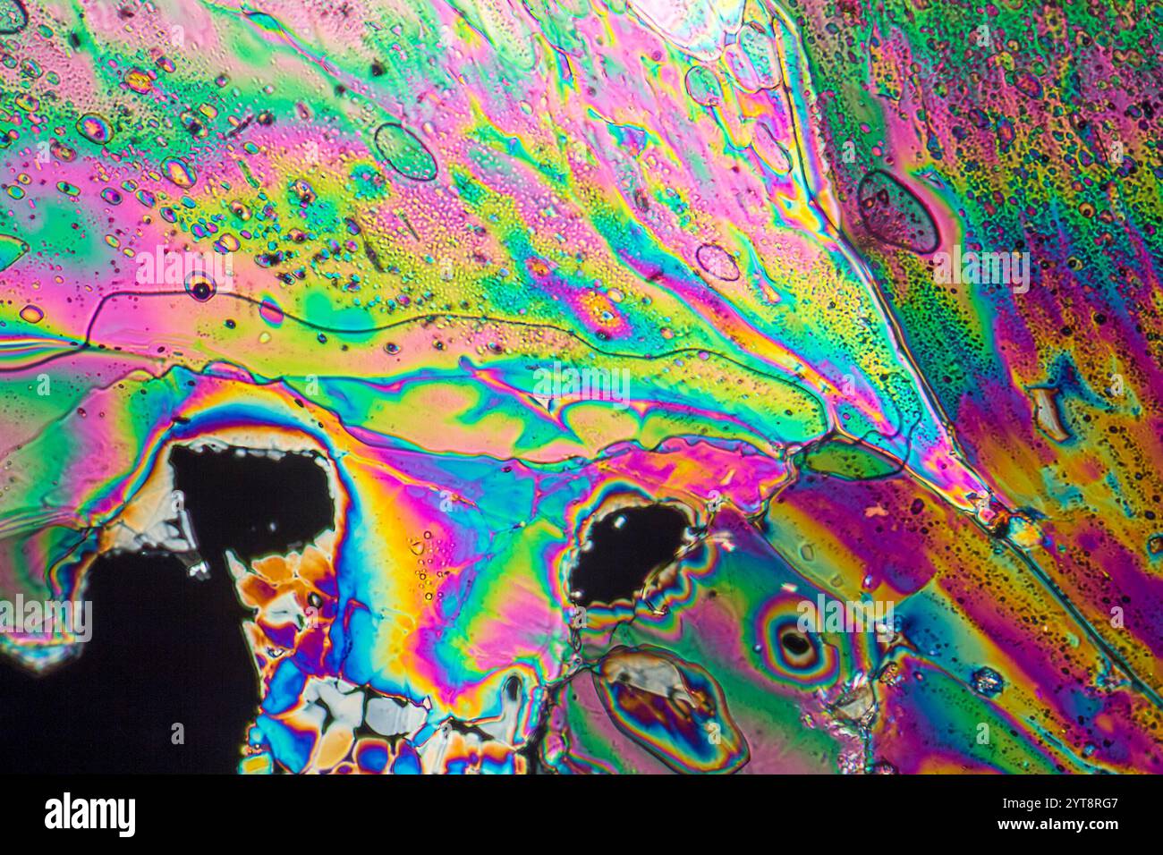 Colorful microscopic shot of sodium acetate micro crystals in polarized ...
