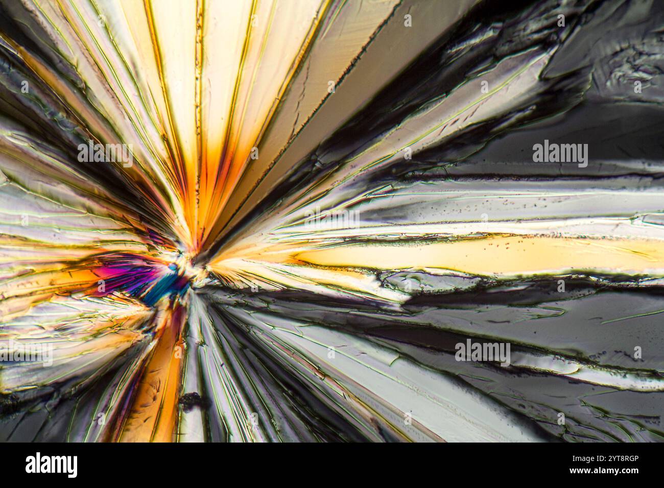 Colorful microscopic shot of sucrose micro crystals in polarized light ...