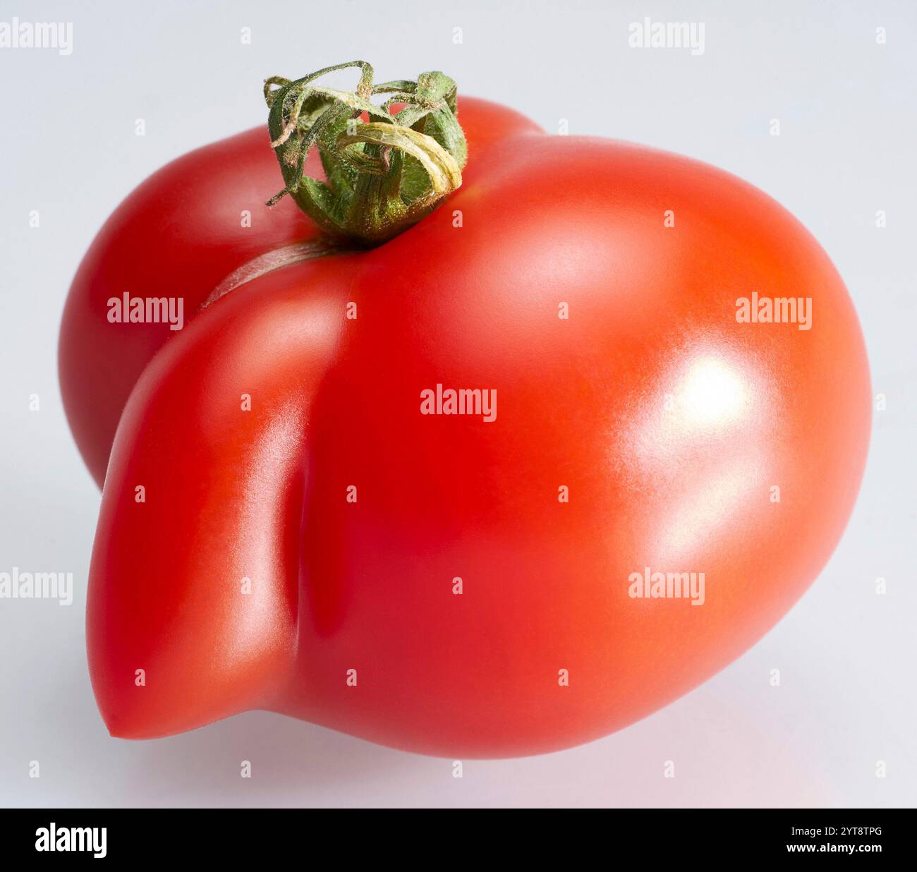 Strange shaped red tomato in light gray back Stock Photo - Alamy